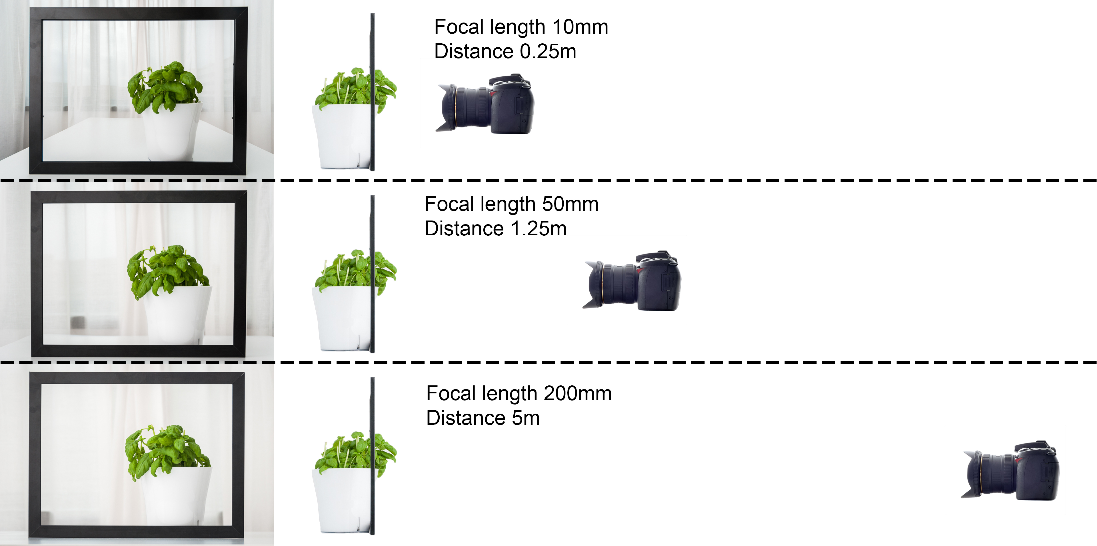 DoF and Subject Magnification | Portrait Photographer based in ...