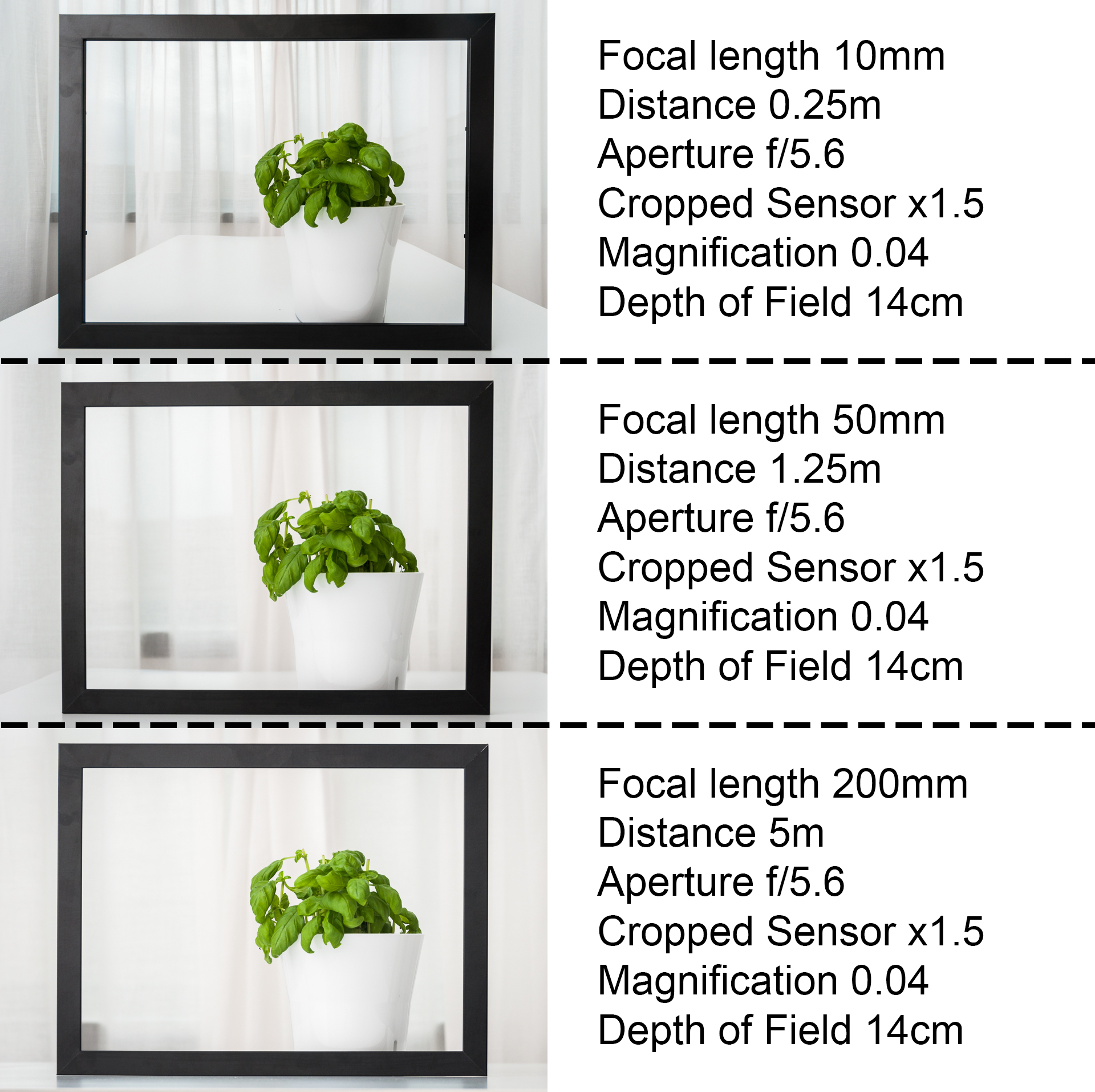 DoF and Subject Magnification | Portrait Photographer based in ...